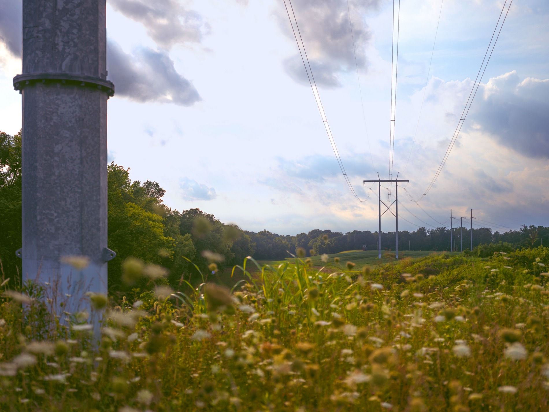 About - LS Power Grid